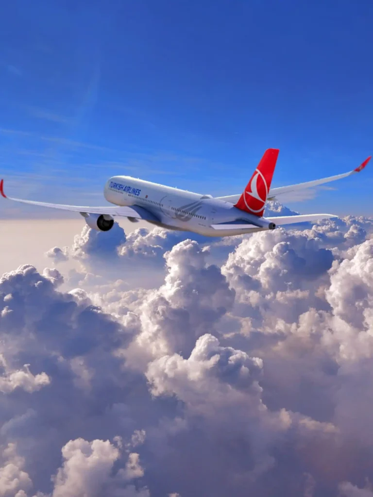 Experience Flying With Turkish Airlines [Update 2024]